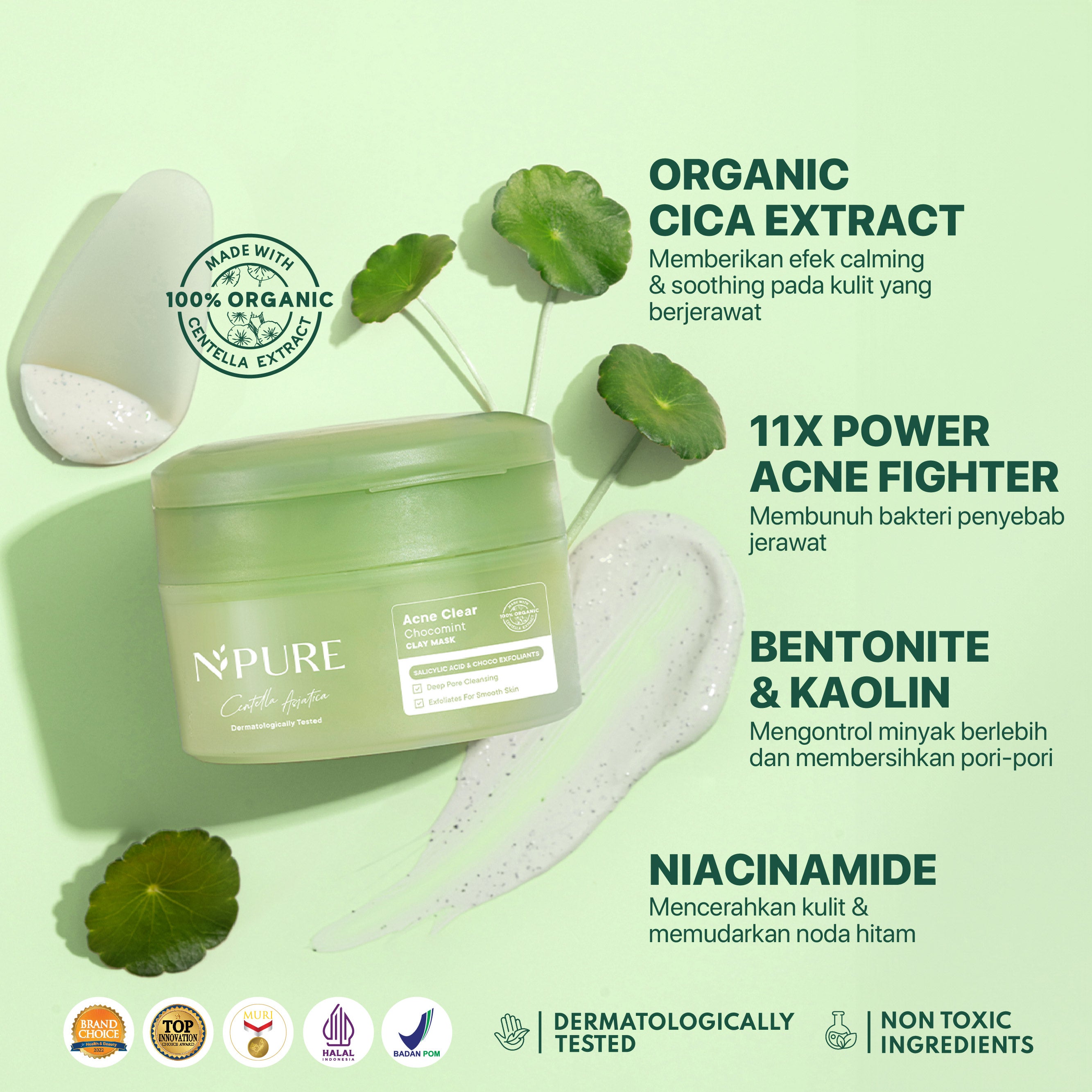 NPURE Cica Chocomint Clay Mask